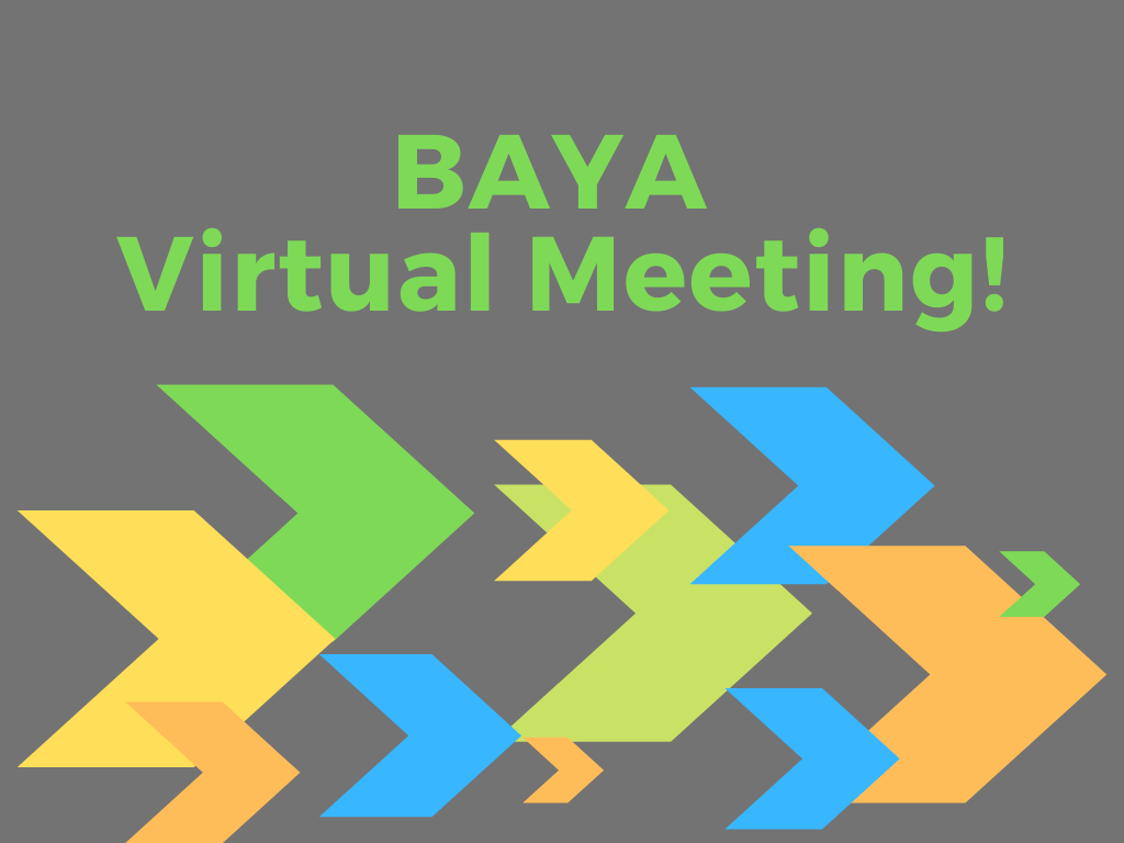 January 2021 Meeting – Bay Area Young Adult Librarians